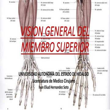 REGION ESCAPULAR TRAUMATOLOGIA Y ORTOPEDIA | PPTX