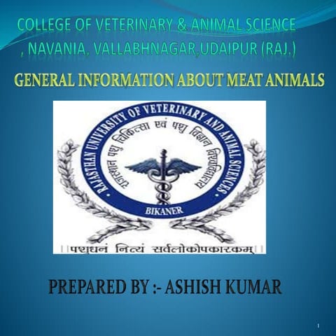 Animal products & animal by product | PPTX