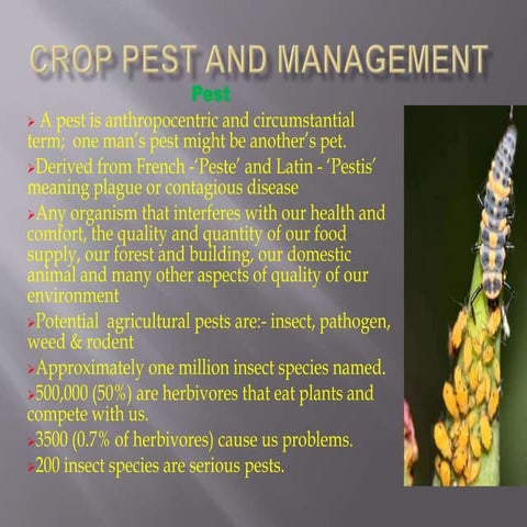Different sampling techniques for insect population estimation | PDF