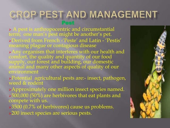 Different sampling techniques for insect population estimation | PDF