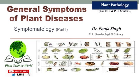 plant pathology introduction.pptx