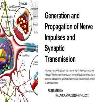 Generation-and-Propagation-of-Nerve-Impulses-and-Synaptic-Transmission (2).pptx
