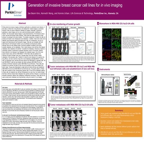 Generation of invasive breast cancer cell lines for in vivo imaging | PDF