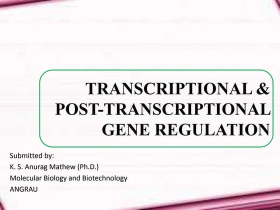 Gene regulation in eukaryotes | PPT