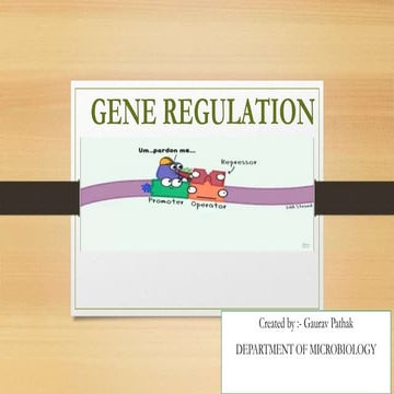 lac mutation (gene regulation) | PPTX