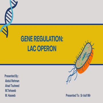 GENE REGULATION IN PROKARYOTES AND EUKARYOTES | PPT