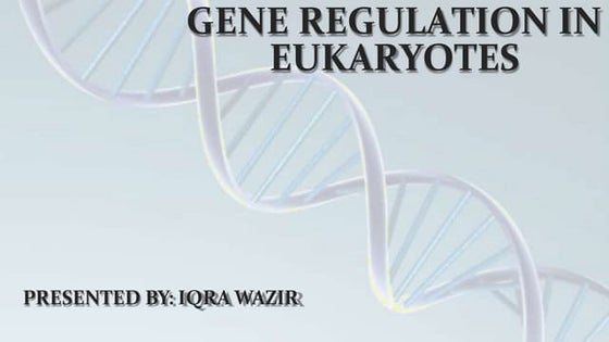 Gene regulation in eukaryotes | PPT