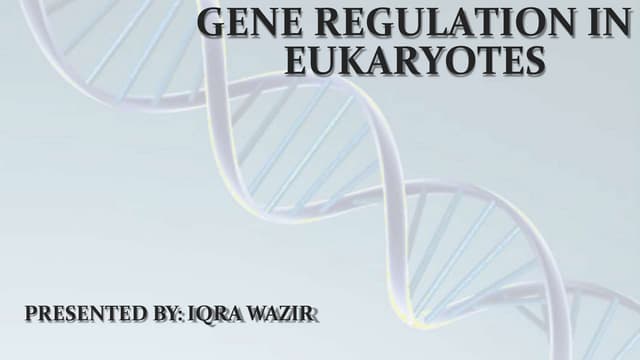 Gene regulation in eukaryotes | PPSX