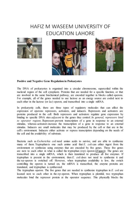 GENE EXPRESSION AND REGULATION.pptx