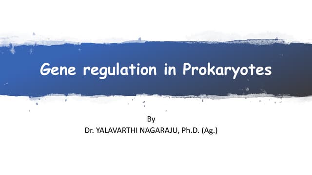Regulation of Gene Expression in Prokaryotes | PPTX