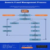 Fraud Management Infographic