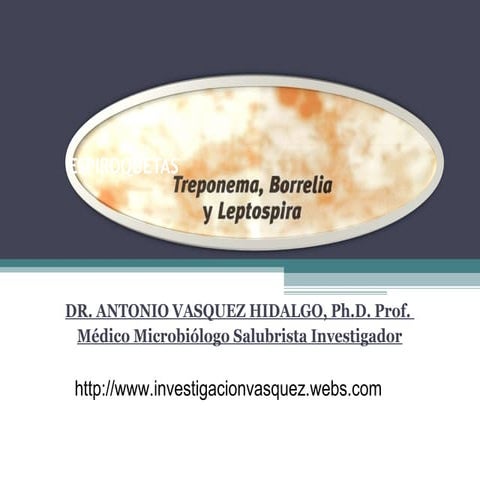 Leptospira | PPT