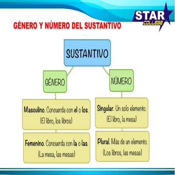 Genero y numero del sustantivo | PPTX