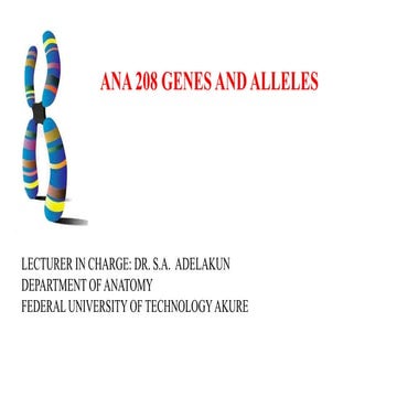 GENES AND ALLELES biology document presentation.pptx