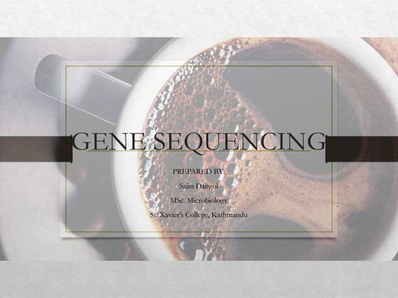 Maxam–Gilbert sequencing | PPT