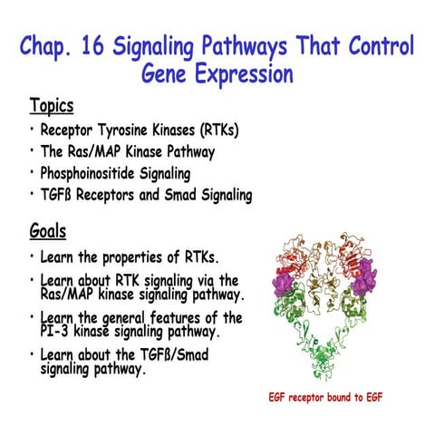 gene signaling and its application in tissue engineering | PPT