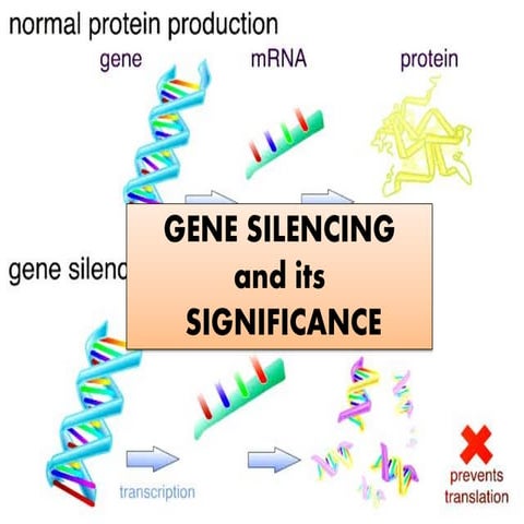 Gene silencing and its significance | PPT