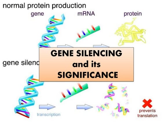 Gene silencing by shakira sulehri 2013 | PDF