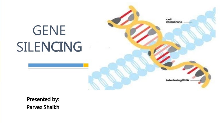 Gene silencing
