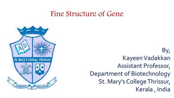 Ultra fine structure of gene | PPTX | Genetics | Science