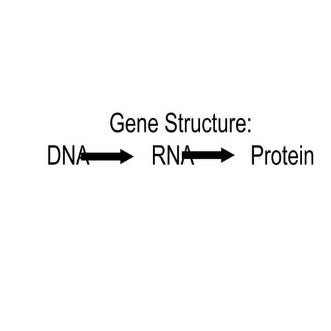 Gene_Structure.ppt, extrons, intons, locus | PPT