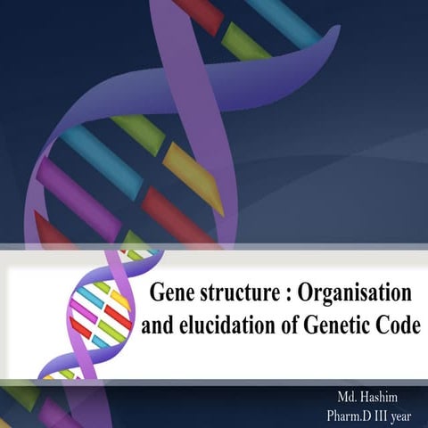 Comprehensive Overview of Gene Structure and the Genetic Code | PPTX