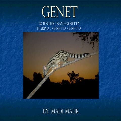 Genet Madi Mauk | PPT