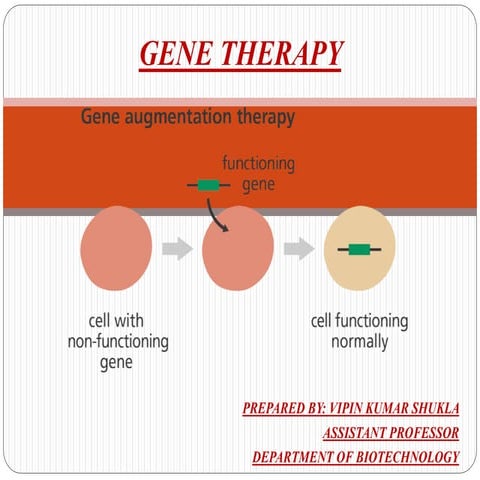 Gene Therapy – Introduction (Ex-vivo and In-Vivo Gene Therapy) - 2024 ...