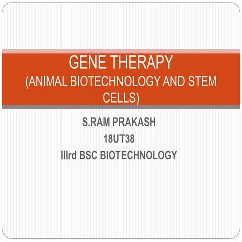 Gene Therapy – Introduction (Ex-vivo and In-Vivo Gene Therapy) - 2024 ...
