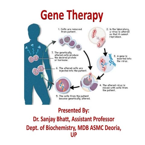 Gene Therapy Process Steps An Introduction To Cell And Gene Therapy