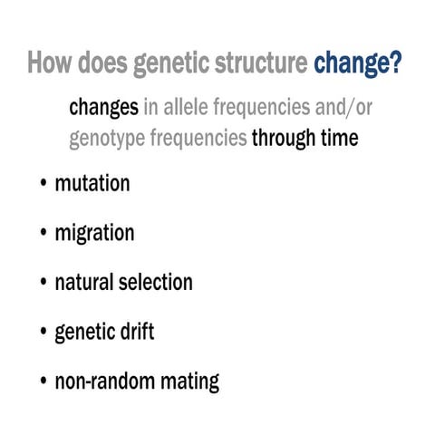Ppt Genetic Drift Bottleneck Effect And Founder Effect Genetic