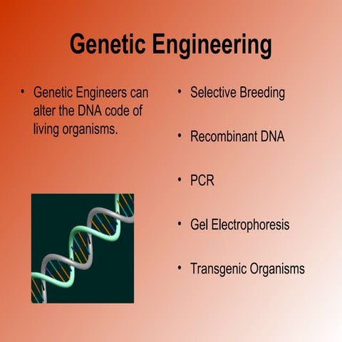 Applications of Genetic Engineering | PPTX