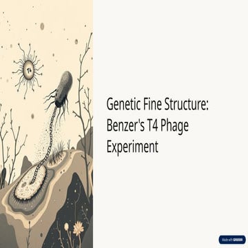 Genetic-Fine-Structure-Benzers-T4-Phage-Experiment.pptx
