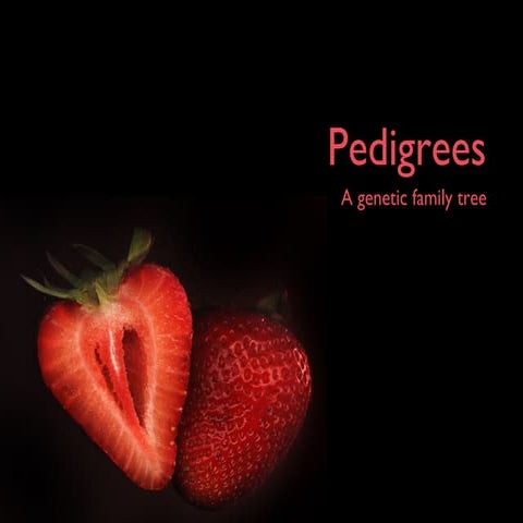 Genetic Pedigrees | PPT