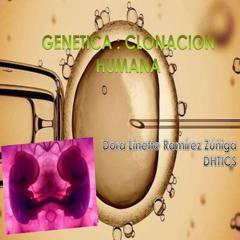 Genetica : CLONACION HUMANA :) | PPTX