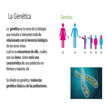 GENETICA DE LOS SERES VIVOS Y SUS ALREDEDORES | PPTX