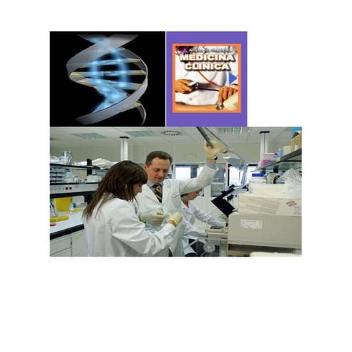Genetica expo | DOCX