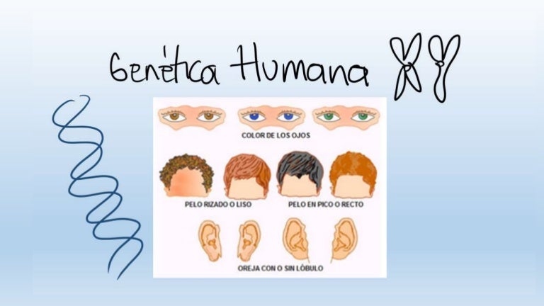 Genetica humana
