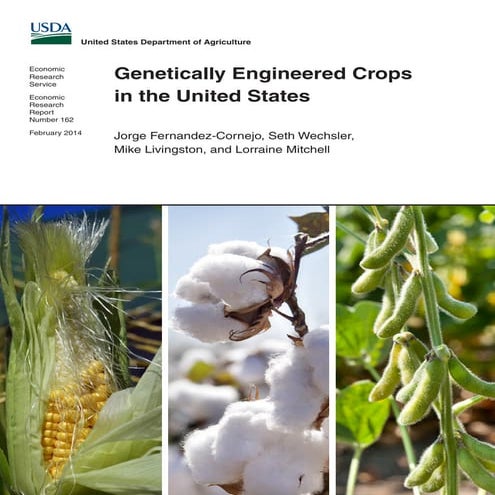 GMO’s and the Environment | PDF