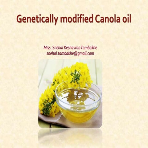 Genetically modified canola oil | PPSX