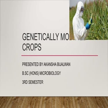 Genetically modified crops with examples.ppt