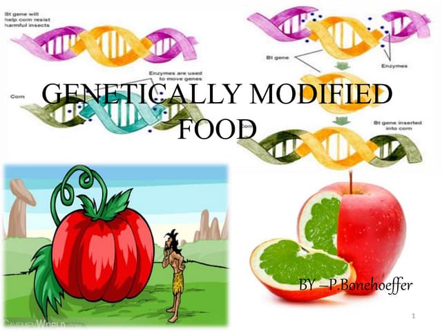 Genetically Modified Organism.ppt
