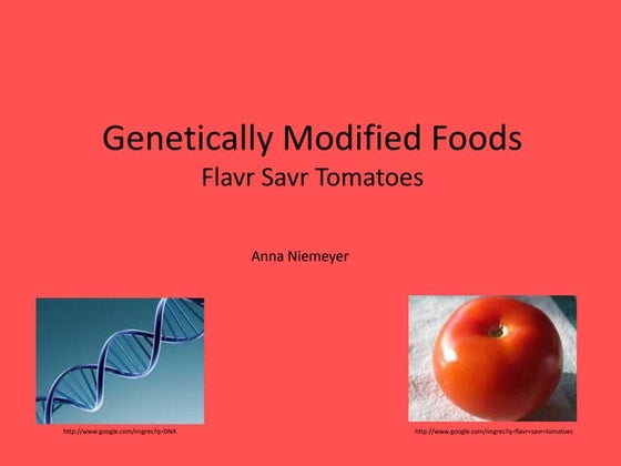 Geneticall Modified Food | PPT
