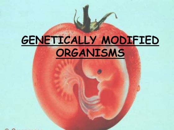 Genetically Modified Organisms (GMO) | PPTX | Genetics | Science