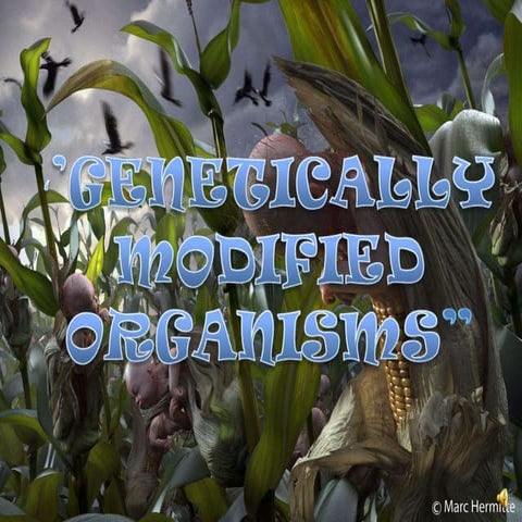 Genetically modified plants | PPTX