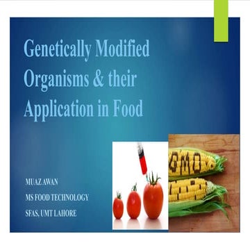 Genetically modified organisms & their application in food muaz awan | PPTX