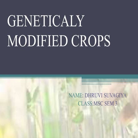 Geneticaly modified crops copy | PPTX