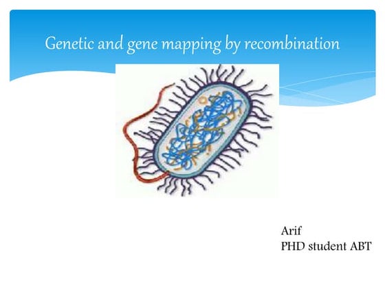 Genetic Mapping | PDF