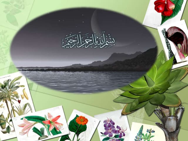 Genetic code ppt | PPTX