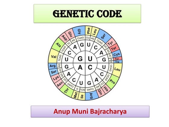 Genetic code ppt | PPT